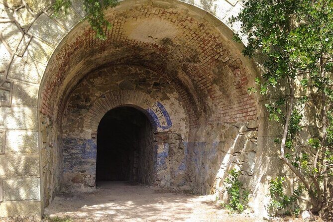 Bike-Nic Half Day Tour to the Bunkers of Monte Enfola - What Travelers Are Saying: Authentic Feedback