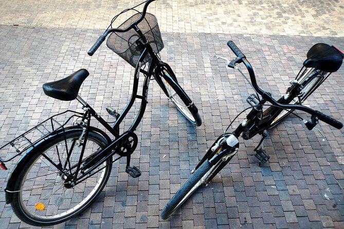 Bike Rental in Malaga - An Overview of the Malaga Bike Rental Experience