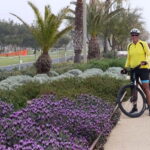 Bike rental: Port of Cagliari, Su Siccu, Nervi Park, Molentargius - The Itinerary in Detail
