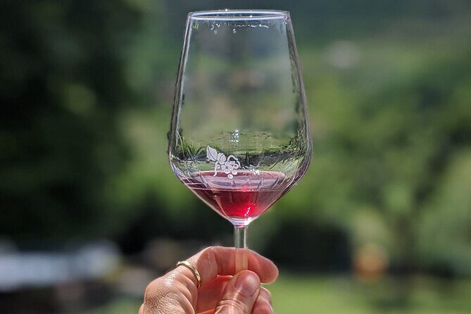 Bike Ride & WIne Tasting - Authentic Moments and Traveler Feedback
