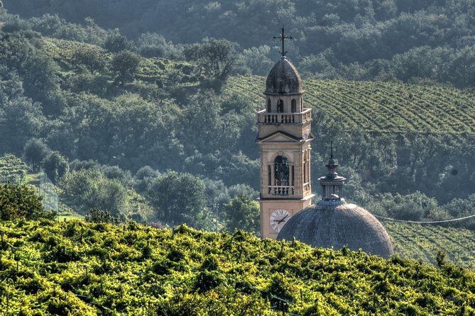 Bike Station Valpolicella: E-bike tour & Amarone Tasting - Exploring the Valpolicella Countryside on E-Bikes