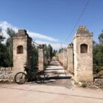 Bike tour in Trani + visit to olive grove and evo oil tasting - The Practicalities: What You Should Know