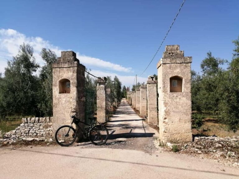 Bike tour in Trani + visit to olive grove and evo oil tasting - The Practicalities: What You Should Know