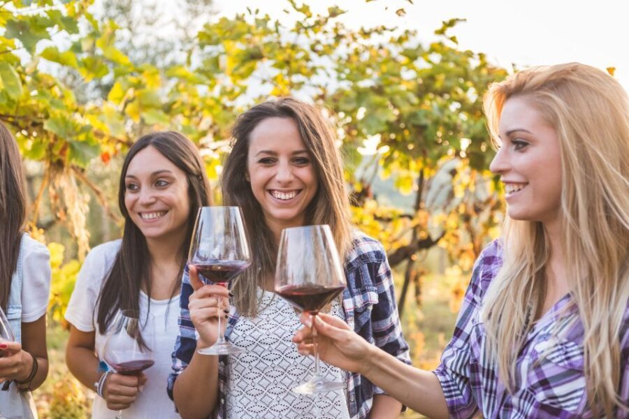 Bilbao: Organic Winery Visit with Tasting - An In-Depth Look at the Tour Experience