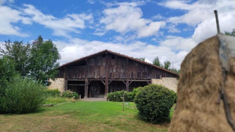 Bilbao: San Sebastian, Getaria, and Basque Farmhouse Tour - Scenic Drive Along the Gipuzkoan Coast