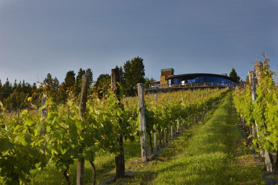Bilbao Txakoli Wine Tour - What is Txakoli? The Heart of the Tour