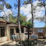 Binissalem: Individual vineyard tour and wine tasting in German - A Closer Look at What to Expect