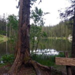 Biogradska Gora National Park - monastery & Moraca Canyon - A Deeper Look at What You Can Expect