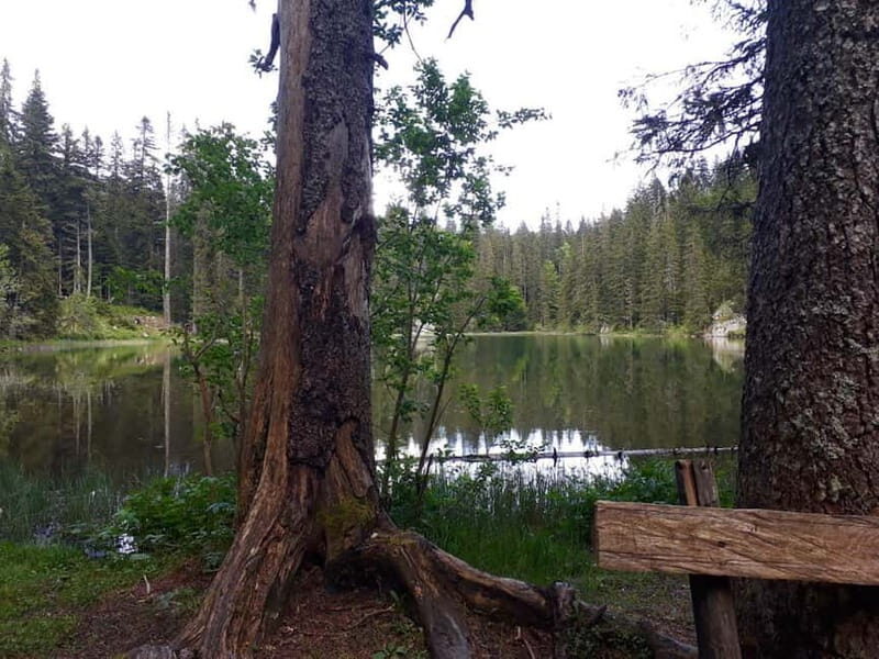 Biogradska Gora National Park - monastery & Moraca Canyon - A Deeper Look at What You Can Expect