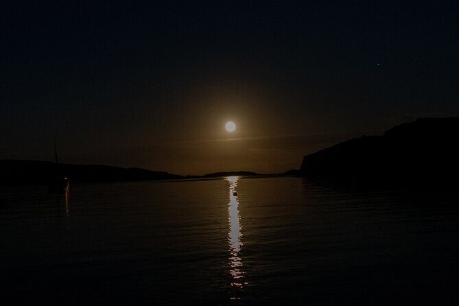 Bioluminescent Swim Experience in West Cork with Storytelling - Why This Tour is a Great Value