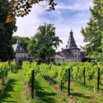 Bioul (near Dinant) : Château de Bioul Tour and Wine Tasting - What to Expect on Your Visit