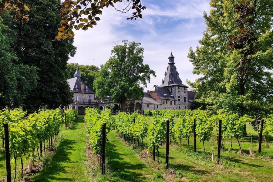 Bioul (near Dinant) : Château de Bioul Tour and Wine Tasting - What to Expect on Your Visit