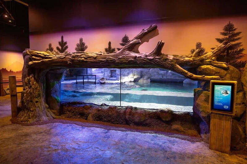 Birmingham: National Sea Life Centre Entrance Ticket - What to Expect from Your Visit