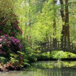 Birmingham: Winterbourne House and Garden Admission Ticket - A Walk Through History and Nature