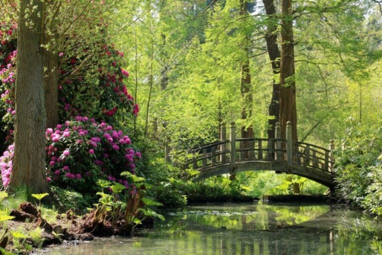 Birmingham: Winterbourne House and Garden Admission Ticket - A Walk Through History and Nature