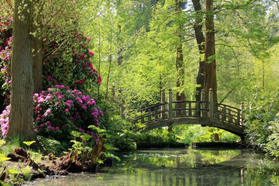 Birmingham: Winterbourne House and Garden Admission Ticket - A Walk Through History and Nature