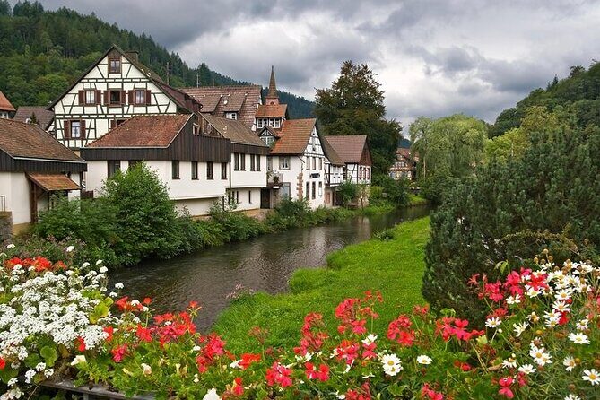 Black Forest and Rhine Falls Day Trip from Zurich - Analyzing the Cost and Value