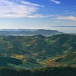Black Forest Day Tour - The Itinerary Breakdown: What Can You Expect?
