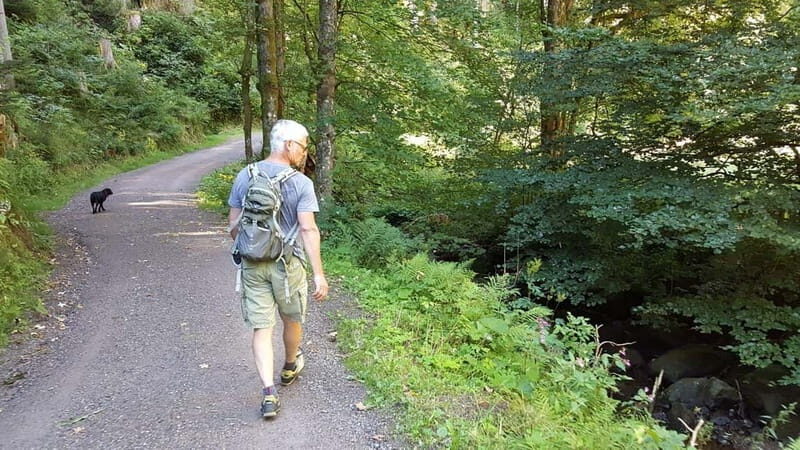 Black Forest: Ravenna Gorge Hike, Self-Guided - Who Should Consider This Experience?