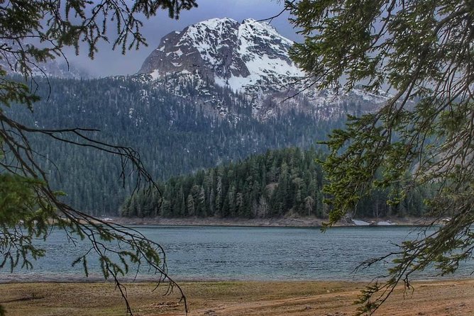 Black Lake and Djurdjevica Tara Bridge (Private tour) - Exploring Montenegro’s Natural Wonders: A Review of the Black Lake and Djurdjevica Tara Bridge Private Tour