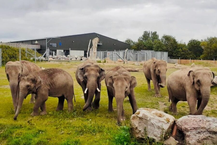 Blackpool: Zoo Admission Ticket - A Day in the Life at Blackpool Zoo