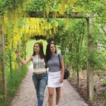 Blarney Castle Full-Day Tour from Dublin - Authentic Encounters and Practical Tips