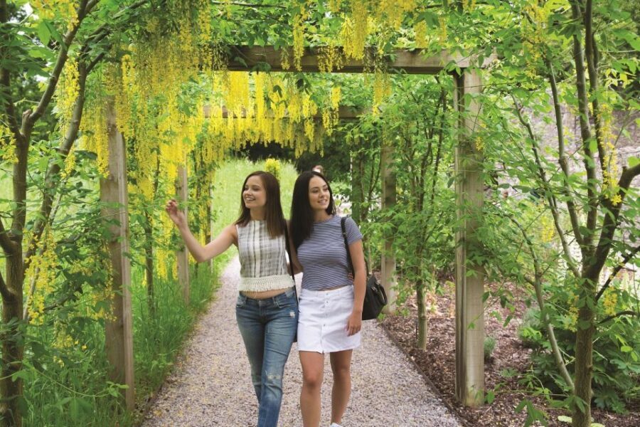 Blarney Castle Full-Day Tour from Dublin - Authentic Encounters and Practical Tips