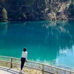 Blausee, Interlaken and alpine villages private guided tour from Luzern - Transportation and Comfort: Why It Matters