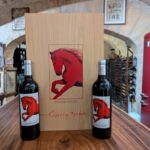 Blaye: the secrets of Blaye, wine, art, history and old cars - An In-Depth Look at the Blaye Tour Experience