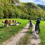 Bled: EBike Tour Lake Bled & Triglav National Park Private - Discover Bled and Triglav National Park by E-bike