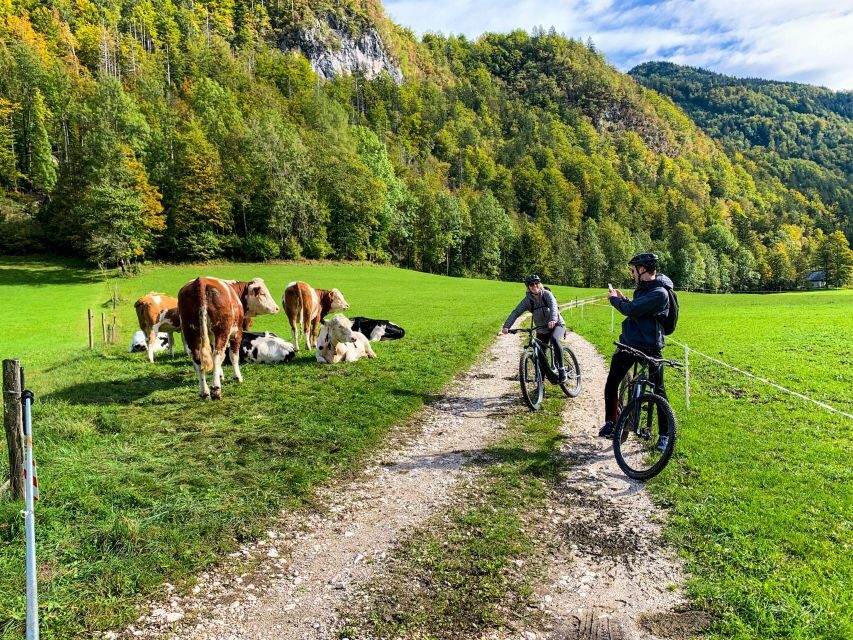 Bled: EBike Tour Lake Bled & Triglav National Park Private - Discover Bled and Triglav National Park by E-bike