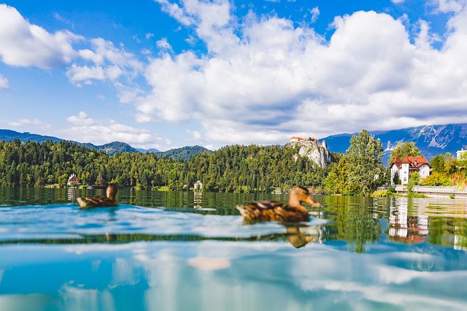 Bled lake, island & castle | Private half day trip from Ljubljana - Exploring Lake Bled: A Private Half-Day Tour from Ljubljana