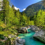 Bled: Soa River Experience - An In-Depth Look at the Tour Experience