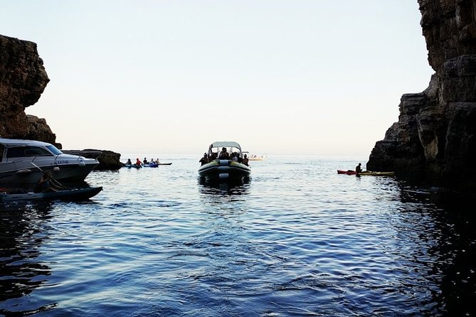 Blue Cave | 5-Hour Afternoon Sea Safari - Key Points