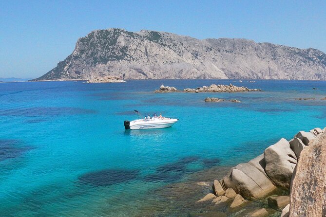 Boat and Snorkeling Private tour max 6 People - Exploring Sardinia by Sea: What to Expect