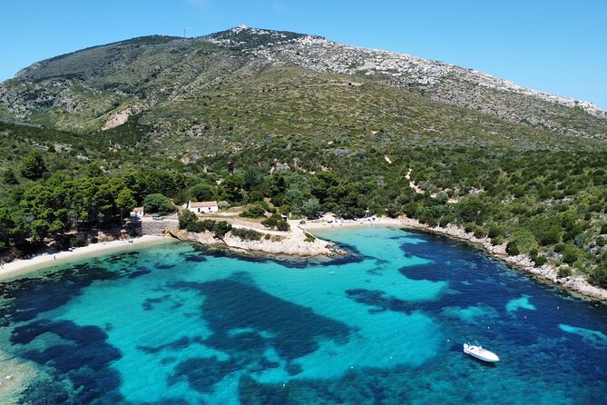 Boat Dolphins Safari and Snorkeling - A Closer Look at the Sardinia Speedboat Experience
