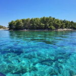 Boat tour from Zadar: Preko  Hidden Bay  Oljak - The Value for Travelers