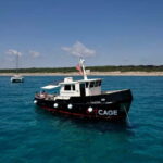 Boat tour Golfo Aranci: Tavolara and Molara Marine Protected Area - The Itinerary in Detail: A Day of Natural Beauty and Local Flavors