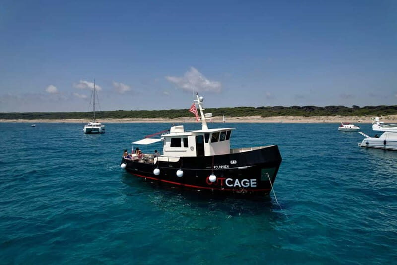 Boat tour Golfo Aranci: Tavolara and Molara Marine Protected Area - The Itinerary in Detail: A Day of Natural Beauty and Local Flavors