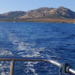 Boat tour of Asinara at sunset with aperitif on board - What’s the Itinerary Like?