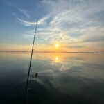 Boat Tour to Letea Forest - The Boat Cruise: Navigating the Heart of the Delta