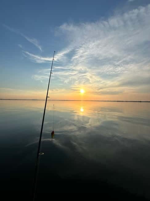 Boat Tour to Letea Forest - The Boat Cruise: Navigating the Heart of the Delta