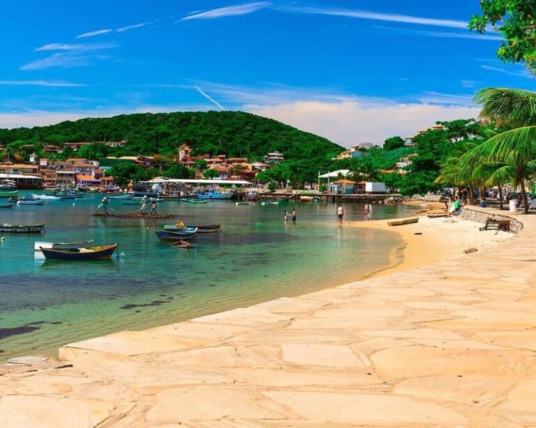 Boat Tours in Búzios - Practical Details and Value