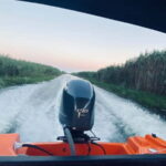 Boat Trip to Caraorman Forest  Danube Delta (67 hours) - Who Will Love This Tour?
