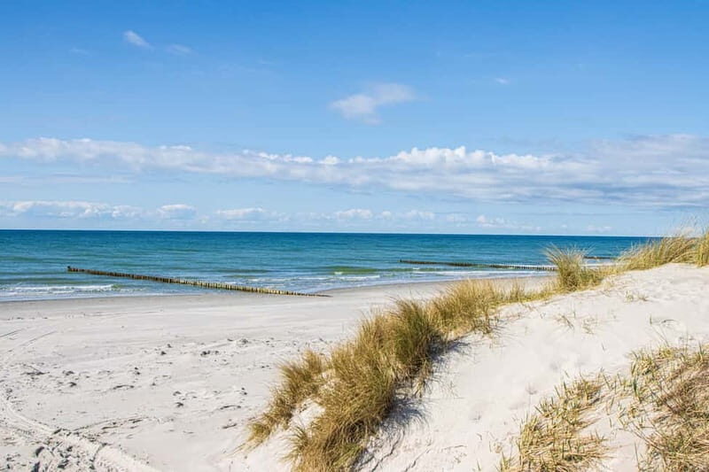Boat trip to the Island of Hiddensee from Zingst - A Practical Overview of the Experience