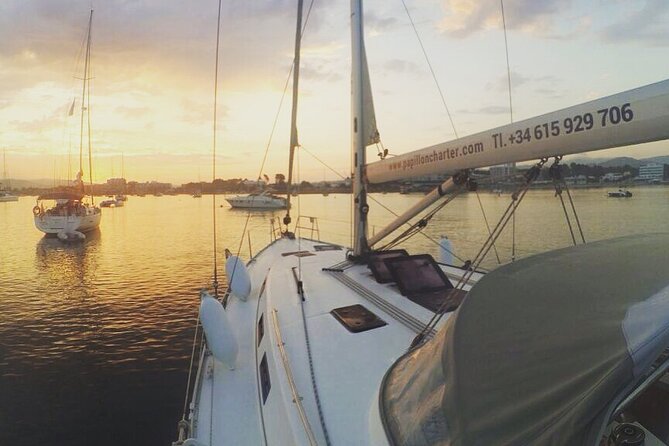 Boat trip Valencia - Introduction: Why This Boat Trip Stands Out