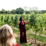 Bodiam: Vineyard Tour and Wine Tasting Experience - Who Will Love This Tour?