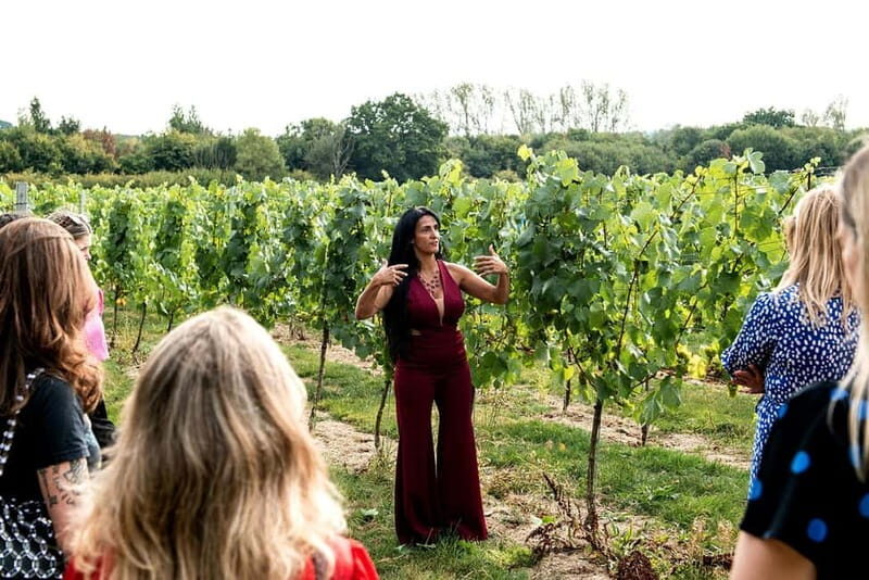 Bodiam: Vineyard Tour and Wine Tasting Experience - Who Will Love This Tour?