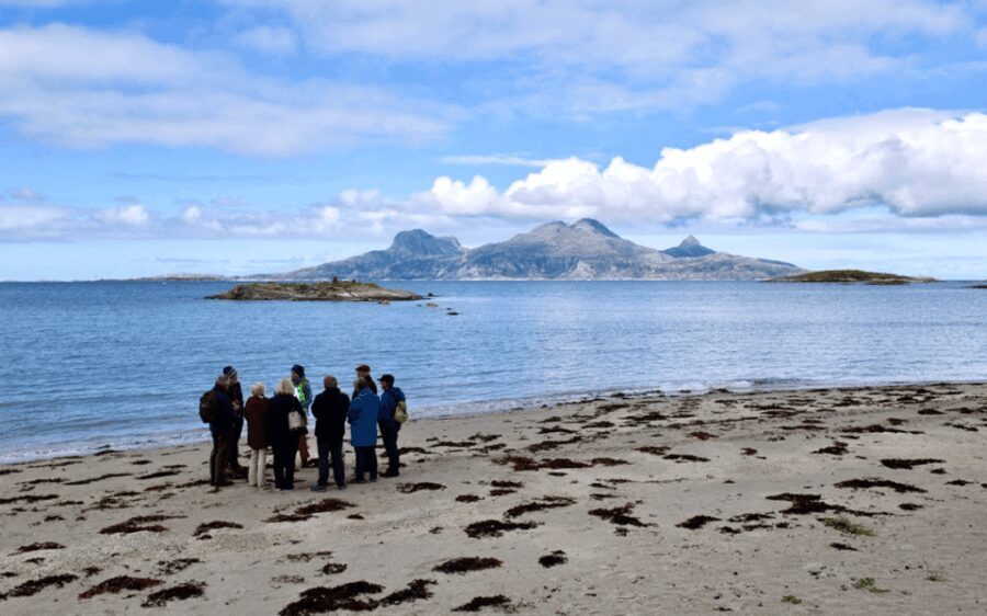 Bodø: Arctic Coastal Walk - A Detailed Breakdown of the Arctic Coastal Walk