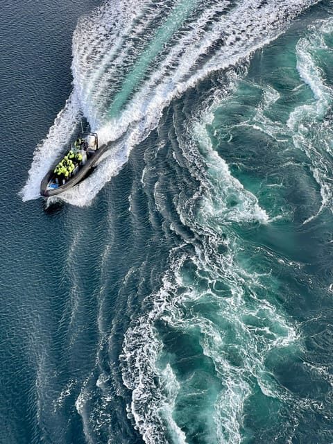 Bodø: Saltstraumen RIB Safari - An Overview of the Saltstraumen RIB Safari